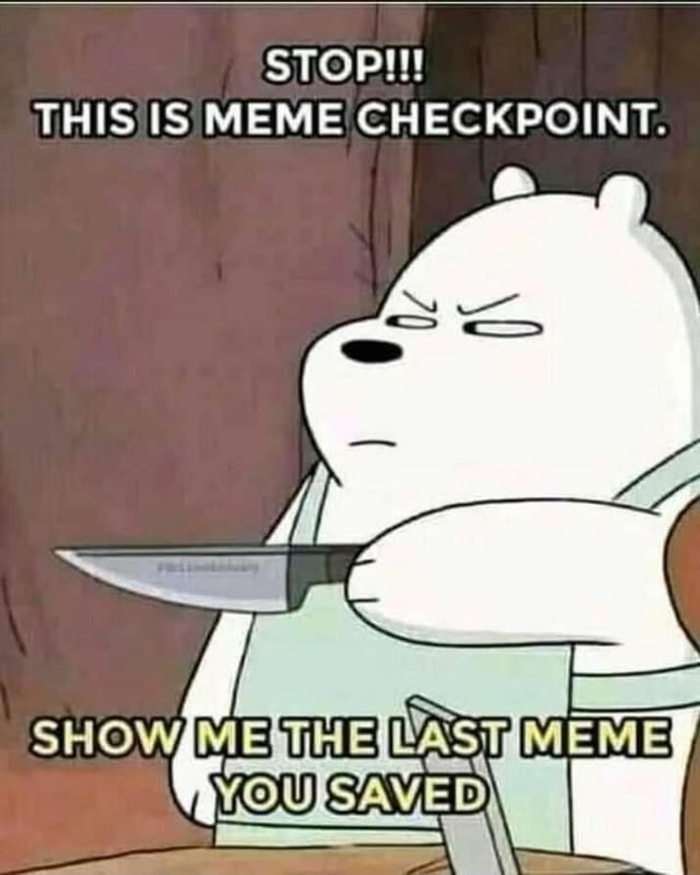 STOP!!! THIS IS MEME CHECKPOINT. - America’s best pics and videos