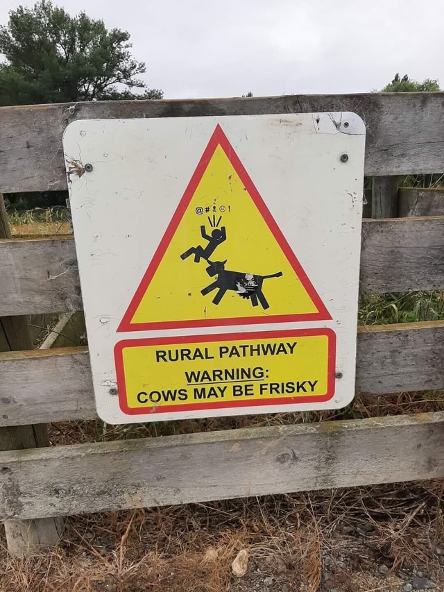 RURAL PATHWAY WARNING: COWS MAY BE FRISKY - America’s best pics and videos