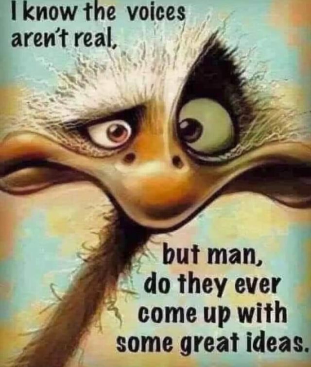 Know the voices aren't real, but man, do they ever come up with some ...