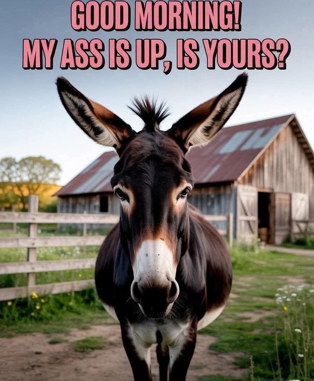 IS ULP, US WUS? sf - America’s best pics and videos