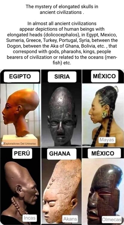 The mystery of elongated skulls in ancient civilizations In almost all ...