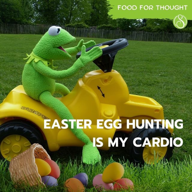 Wishing you a very #HappyEaster! 🪺🐣🐰🌷 #scrumdiddlyumptious #easter # ...