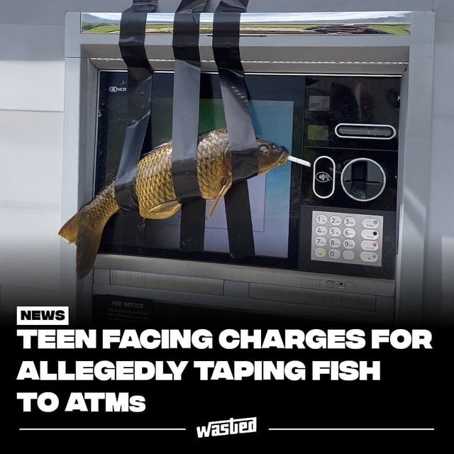 A teenager is in trouble after allegedly taping fish to ATMs in Provo ...
