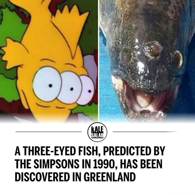 The Simpsons predicted a three-eyed fish in a 1990 episode, and a real ...