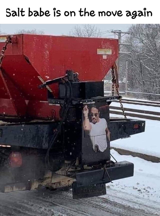 Salt babe is on the move again - America’s best pics and videos