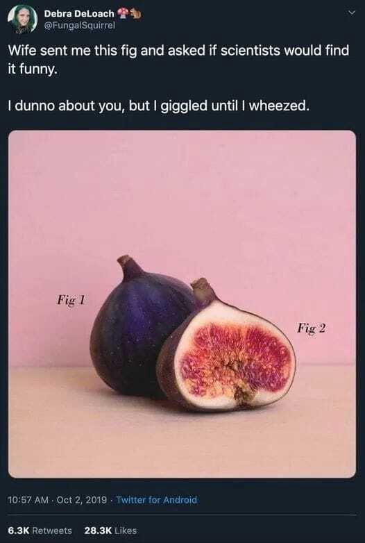 Debra DeLoach ag) met Wife sent me this fig and asked if scientists ...