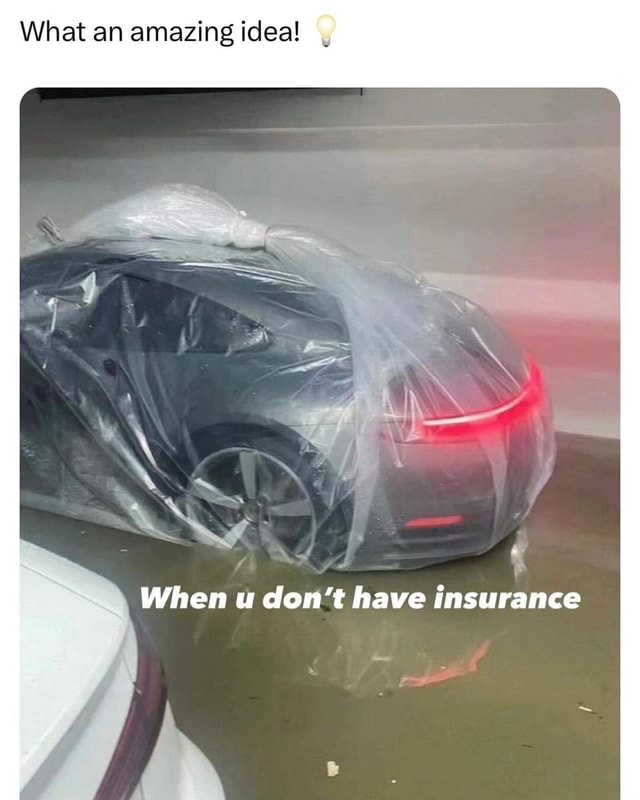 Bagged up! #explore #funny #viral #meme - What an amazing idea! Ss I ...