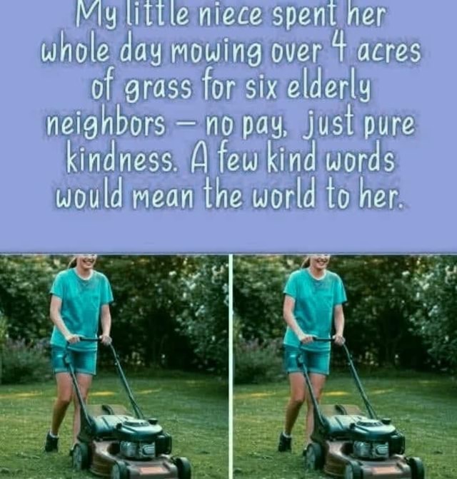 Niece spent her whole day mowing over acres of grass for six elderly ...