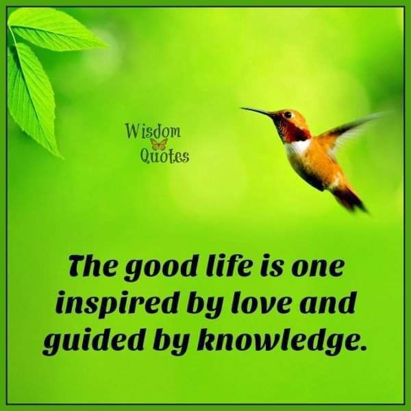 Wisdom Quotes The good life is one inspired by love and guided by ...