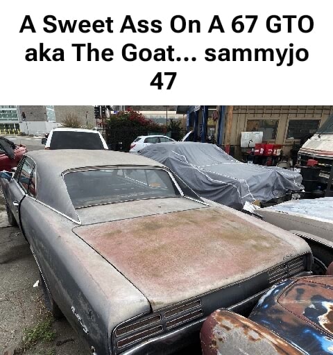 A Sweet Ass On A 67 GTO aka The Goat... sammyjo 47 - America’s best ...