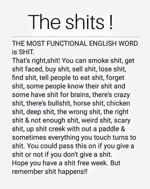 The shits ! THE MOST FUNCTIONAL ENGLISH WORD is SHIT. That's shit You ...