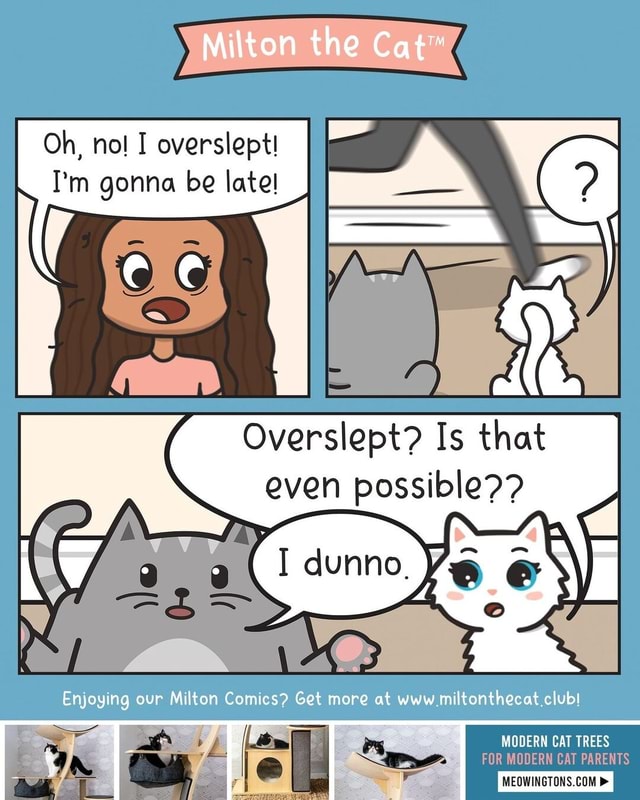 Did mew know that cats sleep an average of 15-17 hours a day? 😴 ...