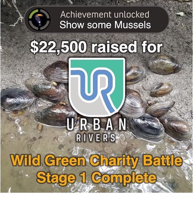 Achievement unlocked Show some Mussels $22,500 raised for - America’s ...