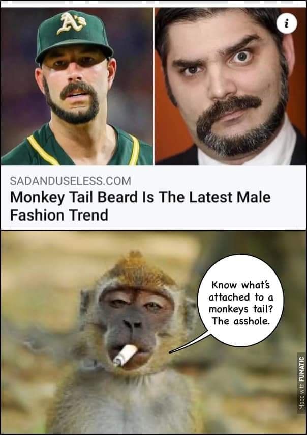 ND Monkey Tail Beard Is The Latest Male Fashion Trend Know whats ...