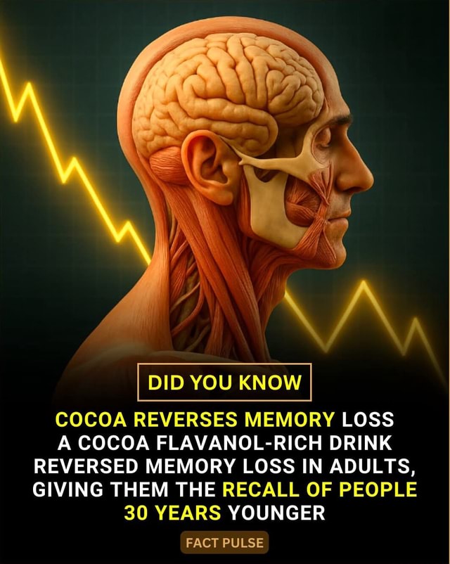 AS DID YOU KNOW COCOA REVERSES MEMORY LOSS COCOA FLAVANOL-RICH DRINK REVERSED MEMORY LOSS IN ...