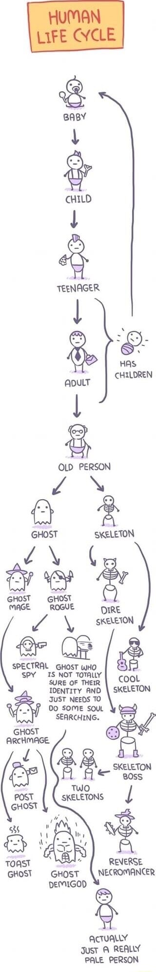 HUMAN LIFE CYCLE BaBy CHILD TEENAGER HAS ADULT CHILDREN OLD PERSON ...