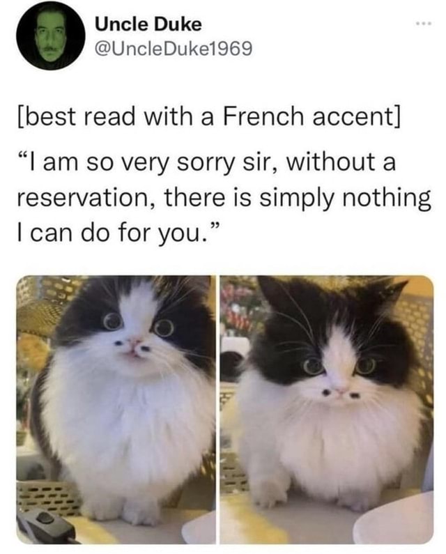 Ze cutest meowtre d’ 🐱 - Uncle Duke @UneleDukei [best read with a ...