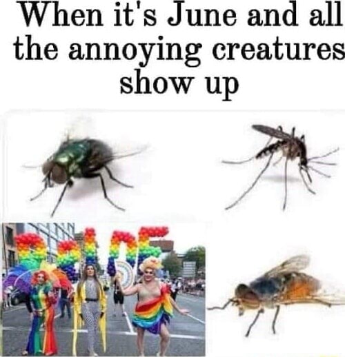 When it's June and all the annoying creatures show up I - America’s ...