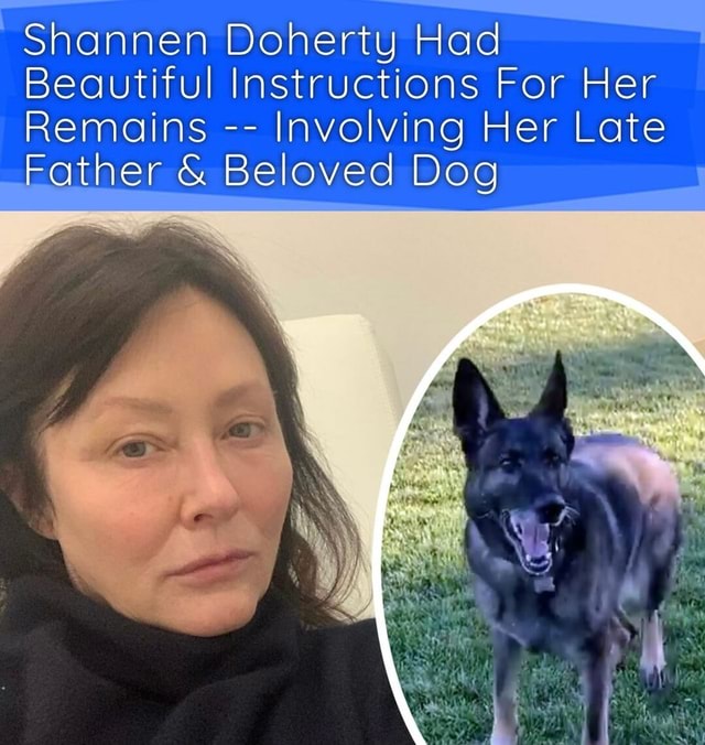 Shannen Doherty Had Beautiful Instructions For Her Remains Involving ...