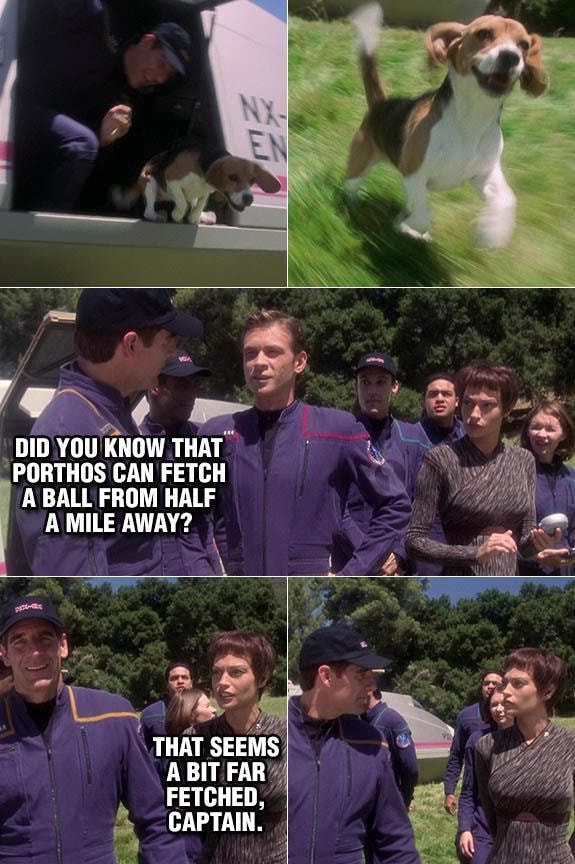 DID YOU KNOW THAT PORTHOS CAN FETCH A BALL FROM HALF A MILE AWAY? THAT ...
