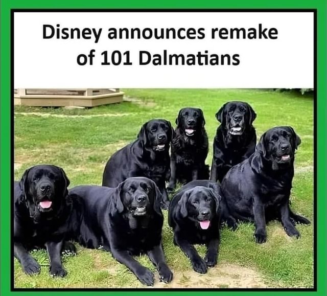 Disney announces remake of 101 Dalmatians - America’s best pics and videos