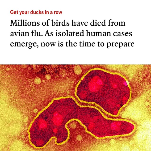 Over the past couple of years the largest outbreak of avian influenza ...