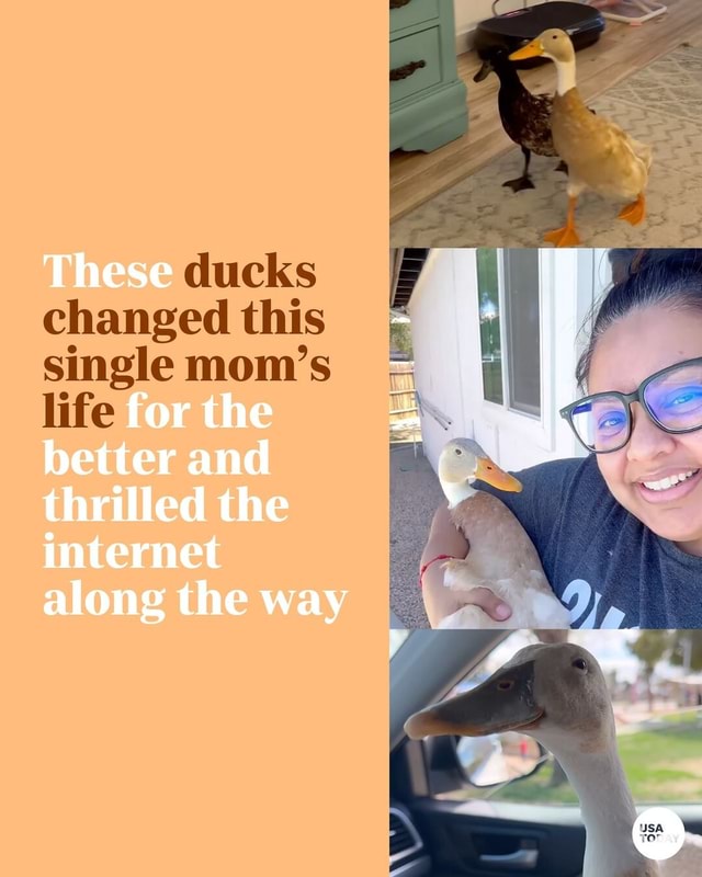 Eeka McLeod is a single mum, raising three kids, two chickens, one dog ...