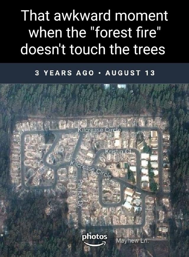 That awkward moment when the "forest fire" doesn't touch the trees 3 ...