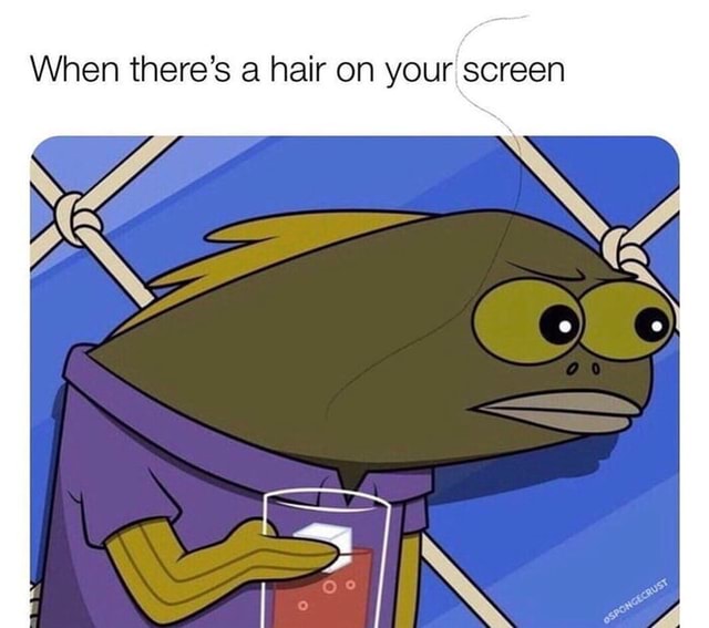 When there's a hair on your screen IN - America’s best pics and videos