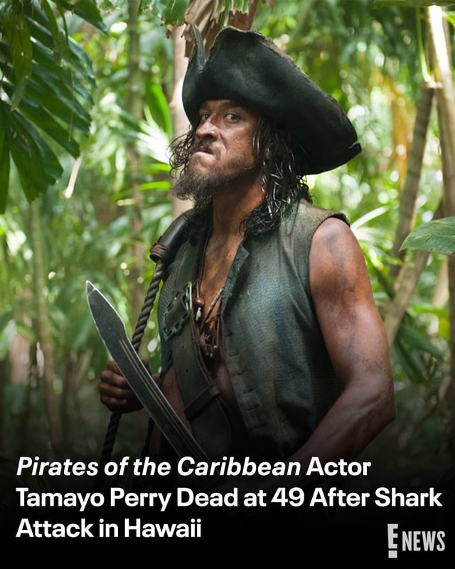 Tamayo Perry has passed away. Everything we know about the fatal shark ...