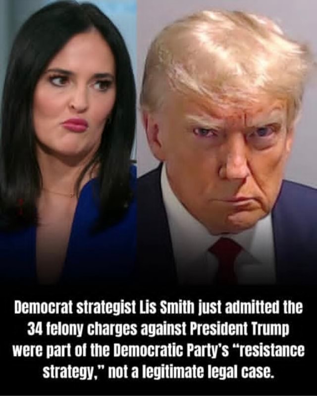 Democrat strategist Lis Smith just admitted the 34 felony charges ...