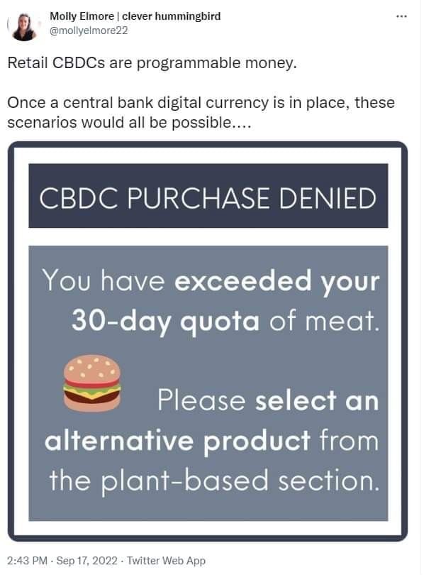 Molly Elmore I clever hummingbird @mollyelmore22 Retail CBDCs are ...