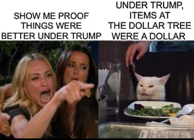 UNDER TRUMP, SHOW ME PROOF ITEMS AT THINGS WERE THE DOLLAR TREE BETTER ...