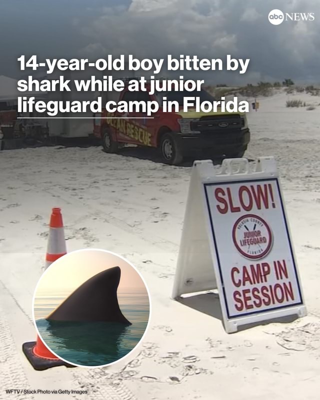 A 14-year-old boy was bitten on the leg by a shark while at a junior ...