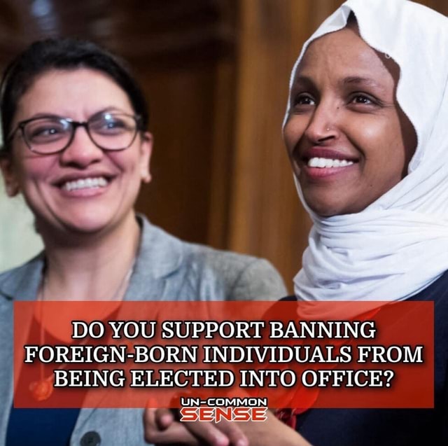 "DO YOU SUPPORT BANNING FOREIGN-BORN INDIVIDUALS FROM BEING ELECTED ...