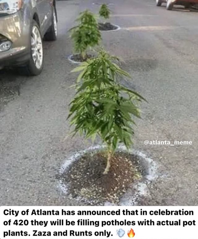 @atlanta_meme Aw City of Atlanta has announced that in celebration of ...