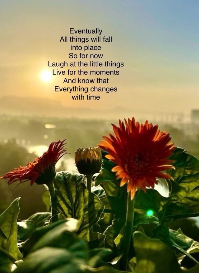 Eventually All things will fall into place So for now Laugh at the ...