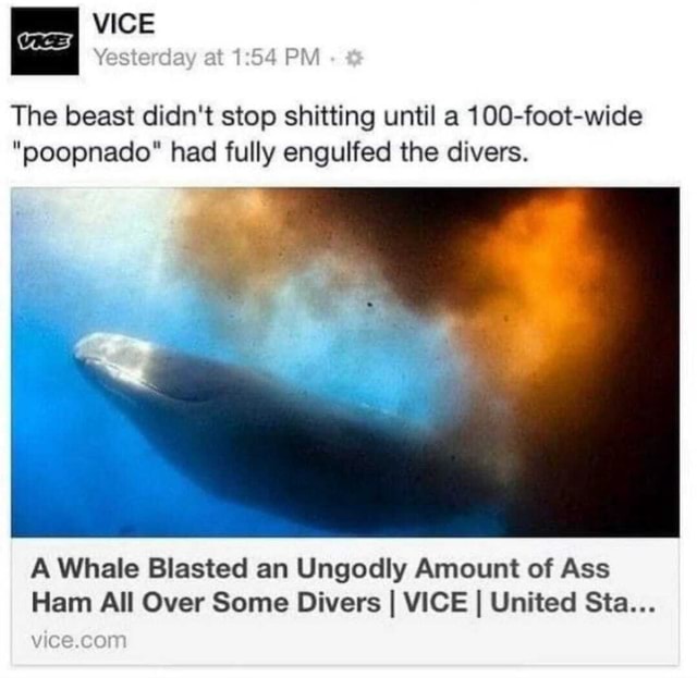 VICE The beast didn't stop shitting until a 100-foot-wide "poopnado ...