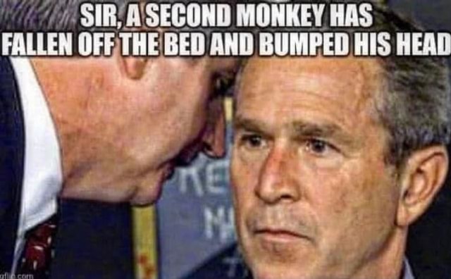 / SIR} A'SECOND MONKEY HAS FALLEN BED AND BUMPED HIS HEAD Ke iy ...