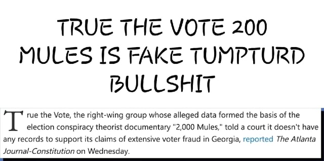 TRUE THE VOTE 200 MULES IS FAKE TUMPTURD IAULLSHIT rue the Vote, the ...