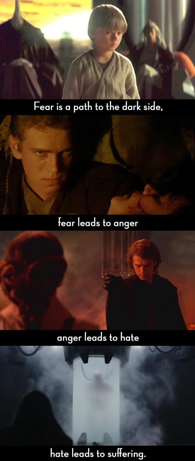 Fear is path to the dark side, fear leads to anger anger leads to hate ...