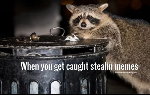 When you get caught in memes - America’s best pics and videos