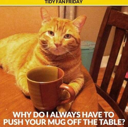 TIDY FAN FRIDAY WHY DOI ALWAYS HAVE TO PUSH YOUR MUG OFF THE TABLE ...