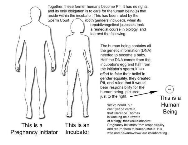 'Together, these former humans become Pll. It has no rights, and its ...