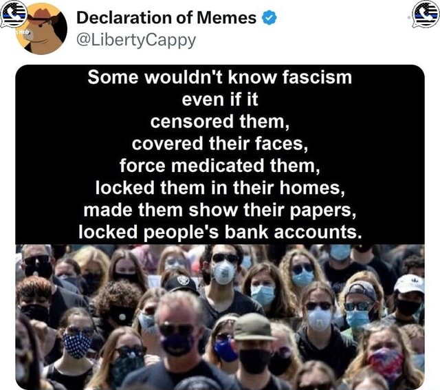 Declaration of Memes @LibertyCappy Some wouldn't know fascism even if ...