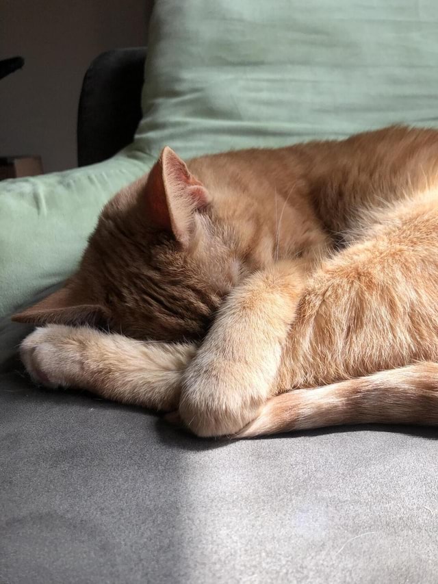 Marco, world’s most handsome boy - America’s best pics and videos