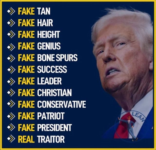 FAKE TAN FAKE HAIR FAKE HEIGHT FAKE GENIUS FAKE BONE SPURS FAKE SUCCESS ...