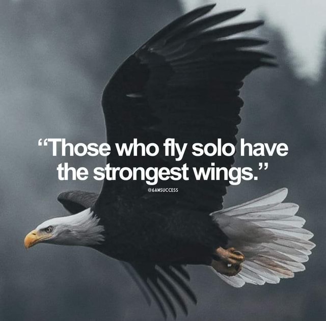 Hos who fly solo have the strongest wings." - America’s best pics and ...