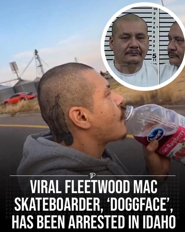 Fleetwood Mac skateboarder, Nathan Apodaca (aka ‘doggface’), was ...