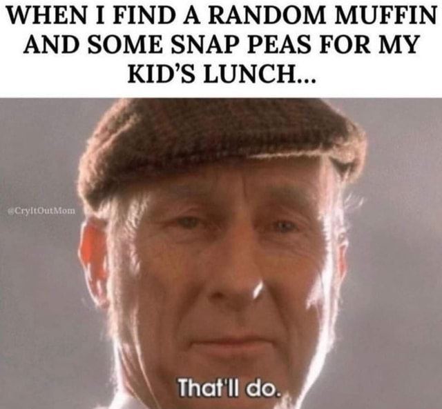 WHEN I FIND A RANDOM MUFFIN AND SOME SNAP PEAS FOR MY KID'S LUNCH ...